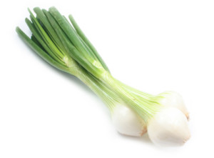 Green Onions | Professional Produce